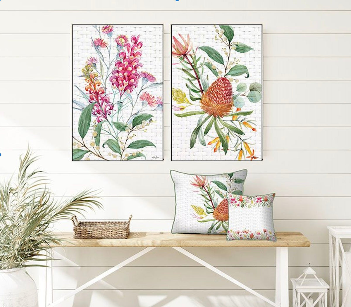 Kelly Lane – Lazy Frog Gifts