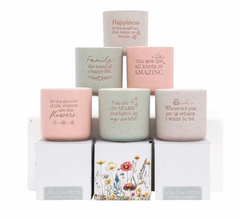 Positive Pots – Lazy Frog Gifts